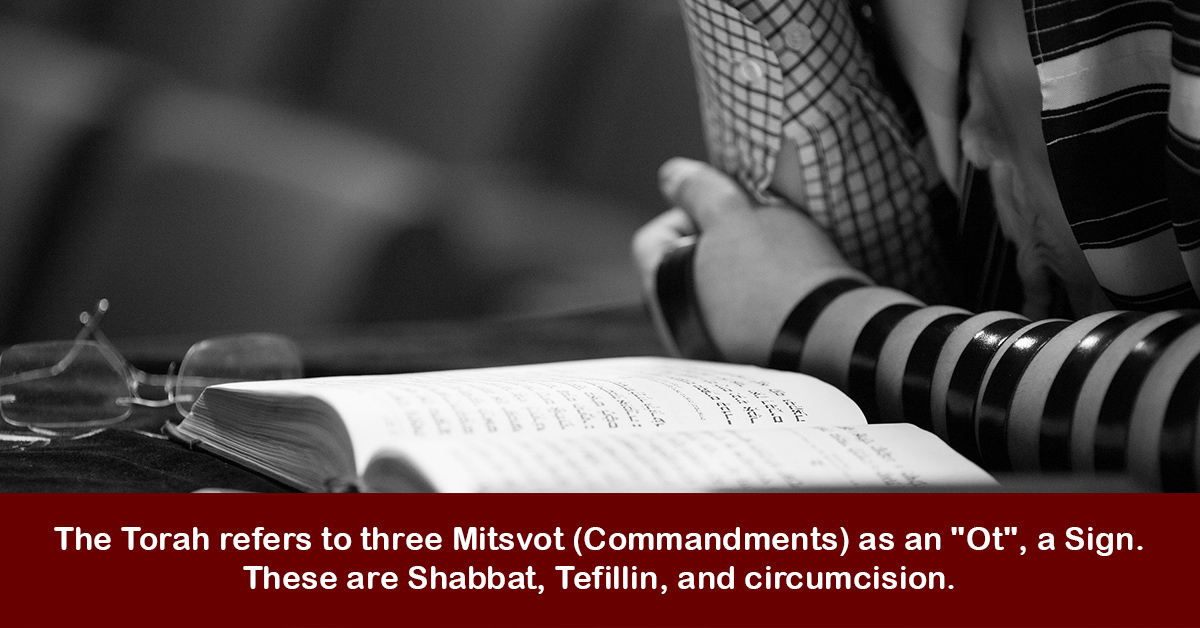 Tefillin, a basic tenet of Judaism | Blog